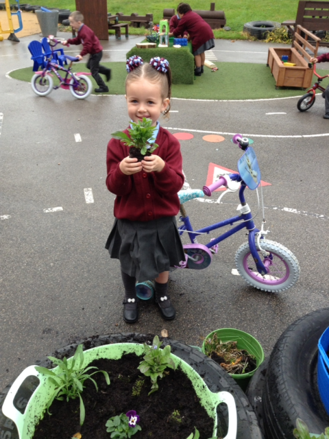 School Gallery | Park Brow Primary School