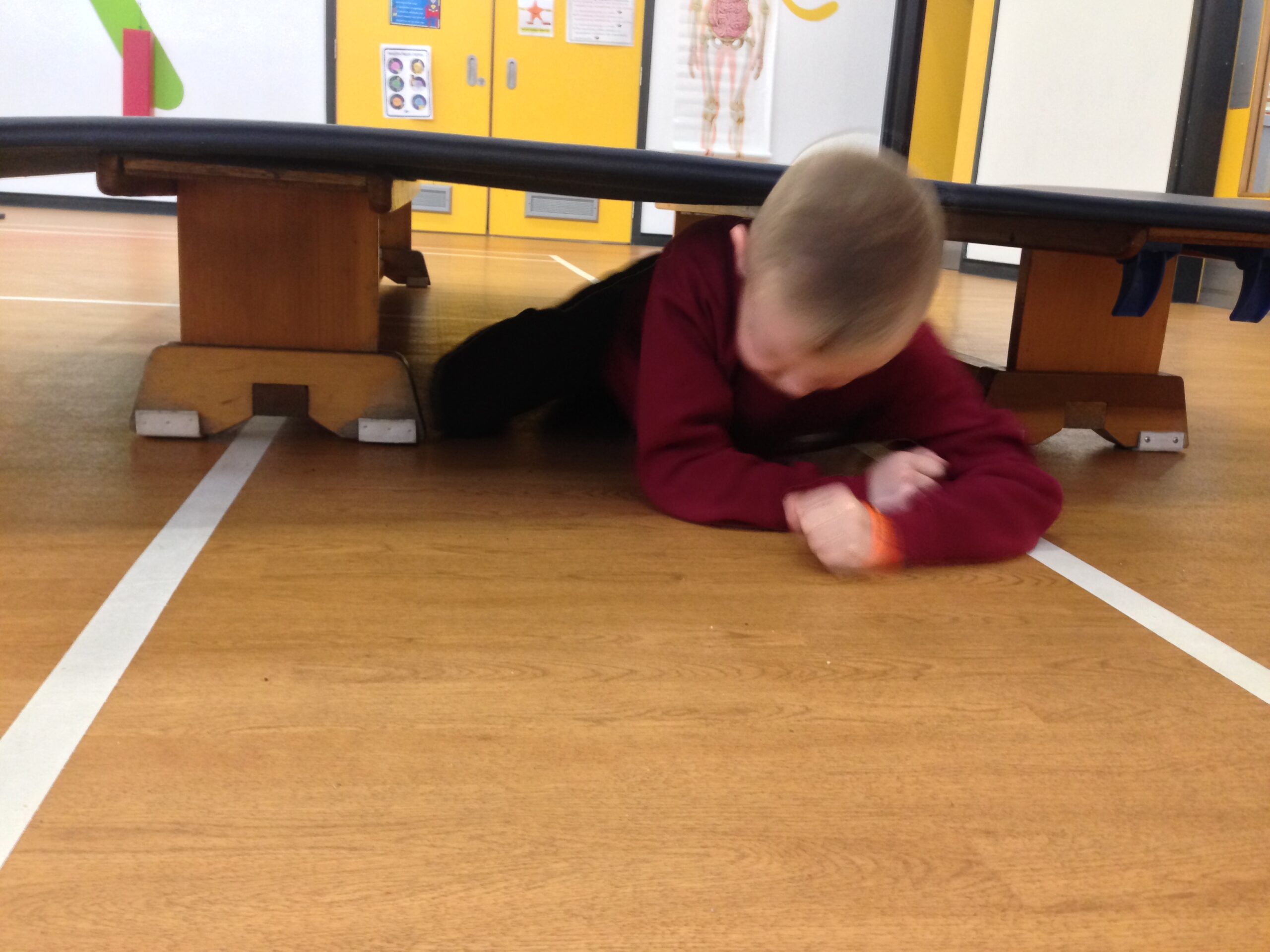 Gallery | Park Brow Primary School